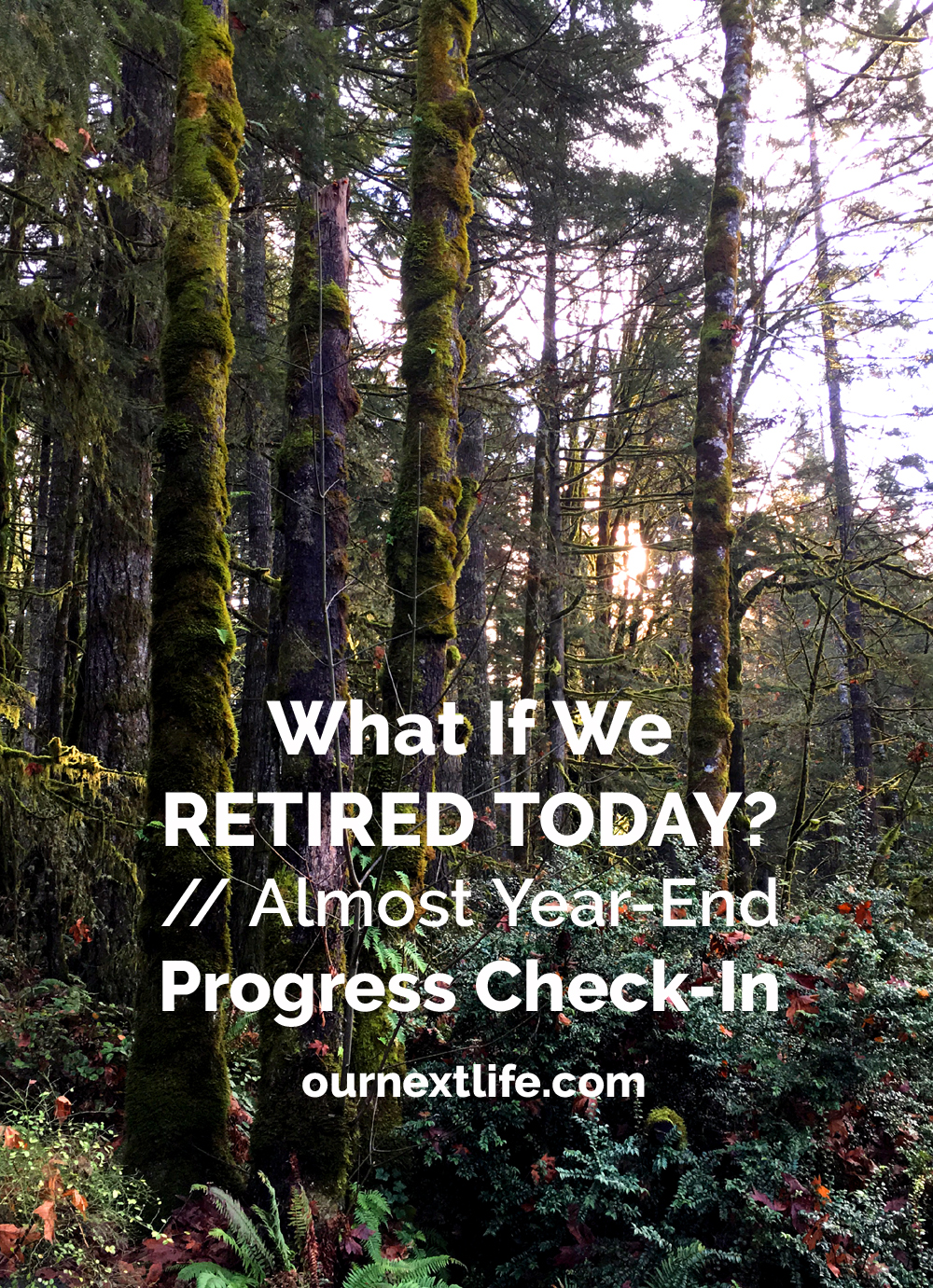 what-if-we-retired-today – Our Next Life by Tanja Hester, author of ...