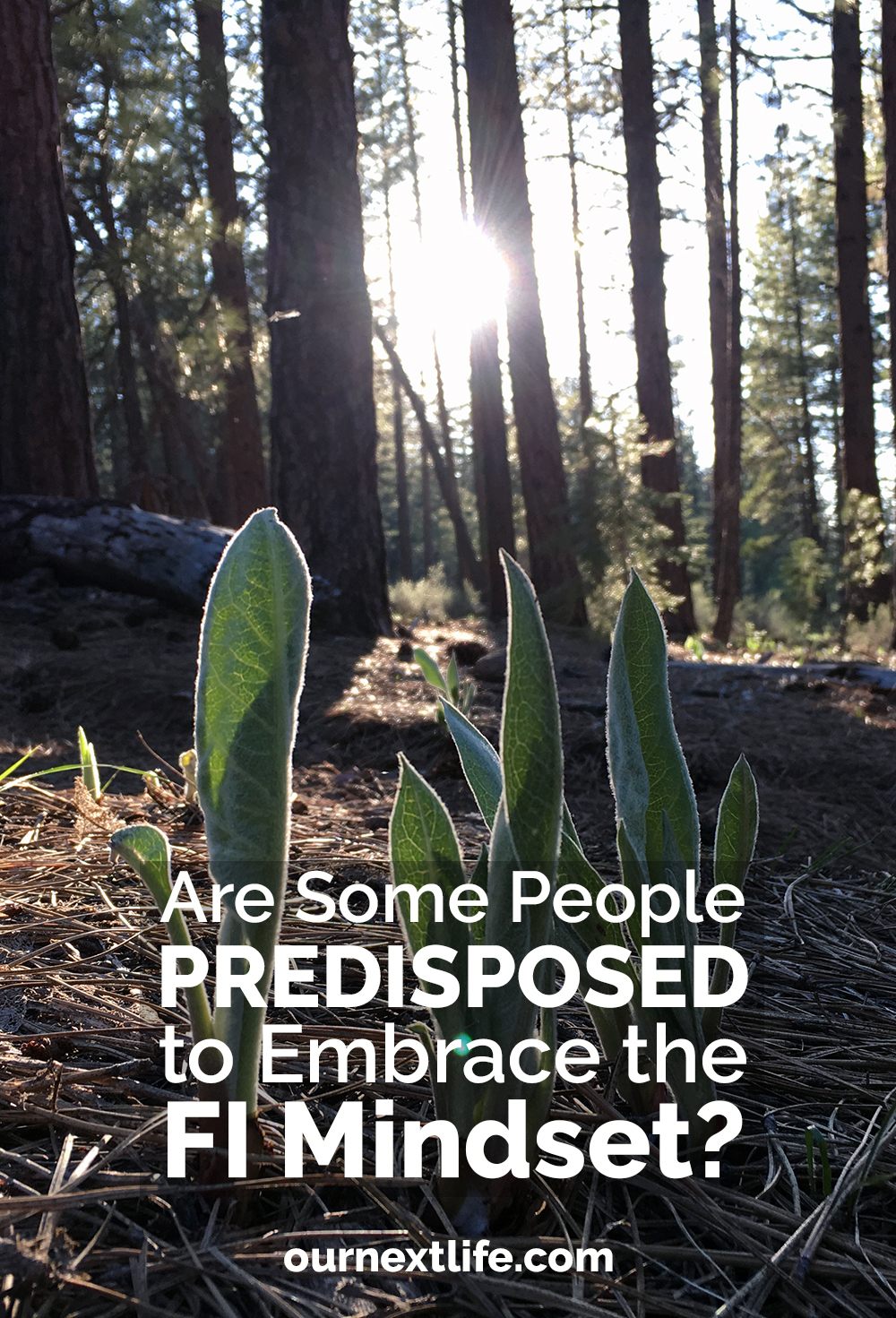 predisposed-FI-mindset – Our Next Life by Tanja Hester, author of Work ...