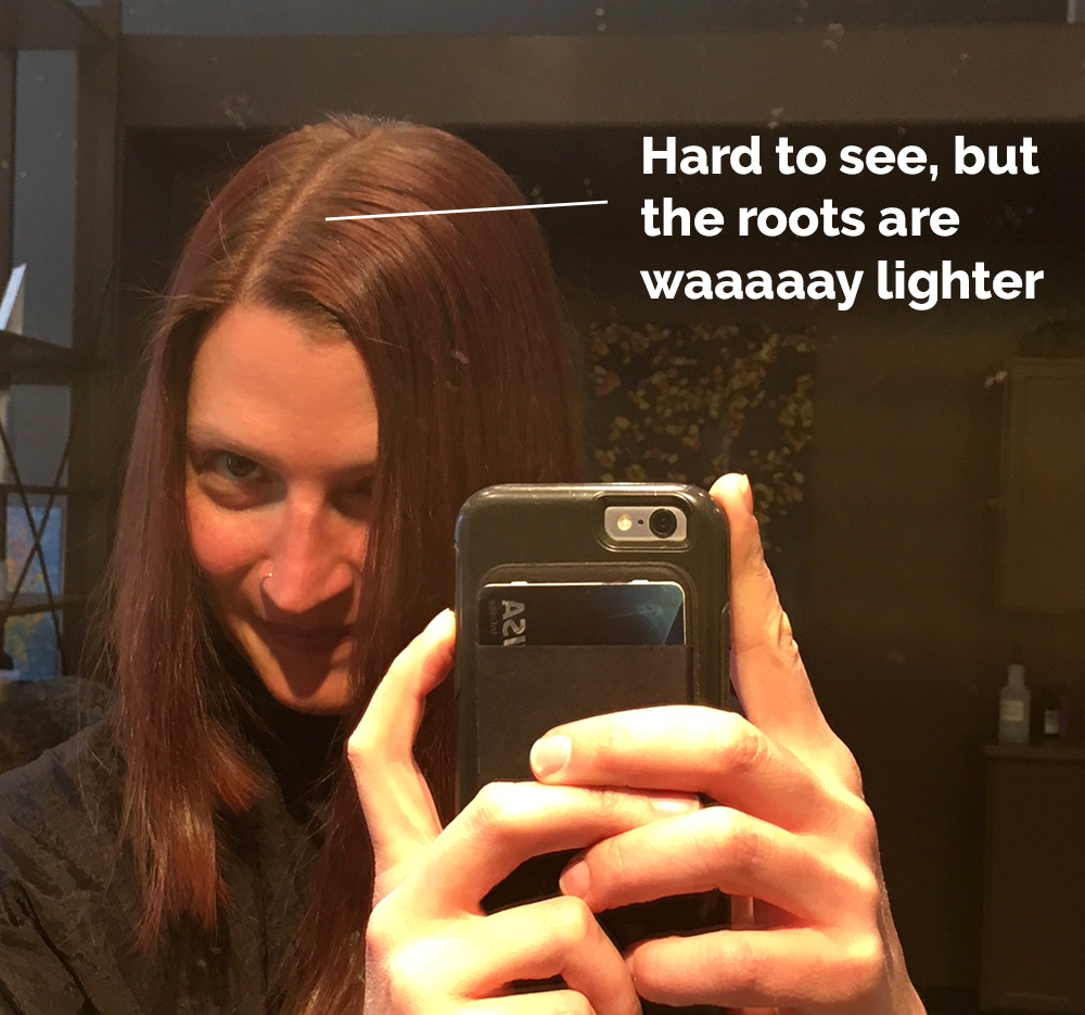 lighter-roots – Our Next Life by Tanja Hester, author of Work Optional ...