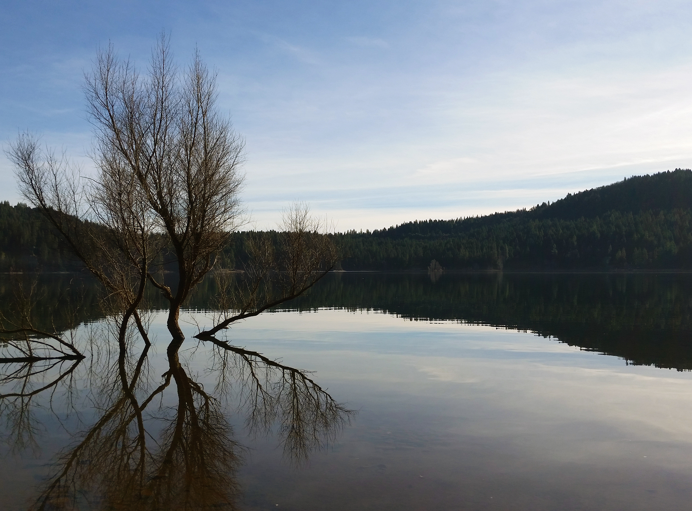 Reflective-Lake – Our Next Life by Tanja Hester, author of Work ...