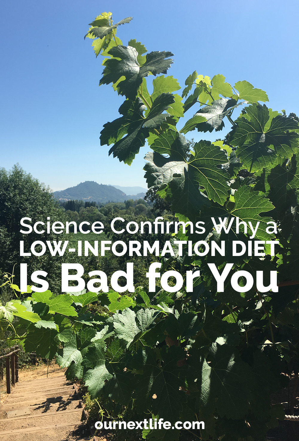 low-information-diet – Our Next Life by Tanja Hester, author of Work ...